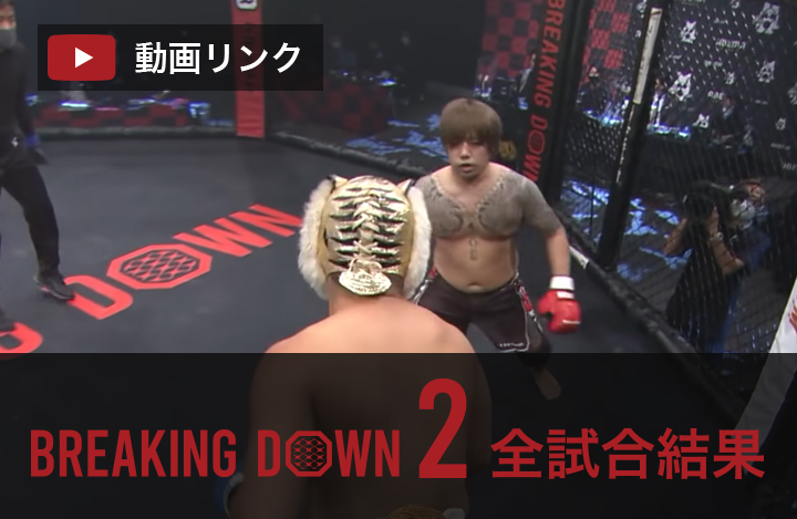 BreakingDown（ブレイキングダウン）ファンサイト BDFAN