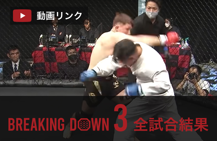 BreakingDown（ブレイキングダウン）ファンサイト BDFAN