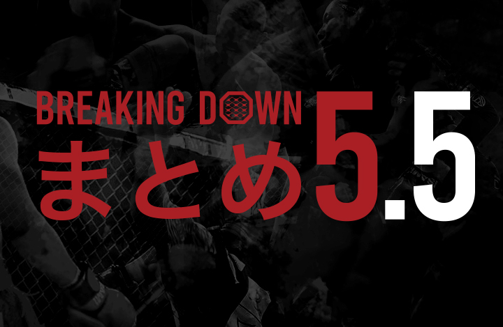 BreakingDown（ブレイキングダウン）ファンサイト BDFAN